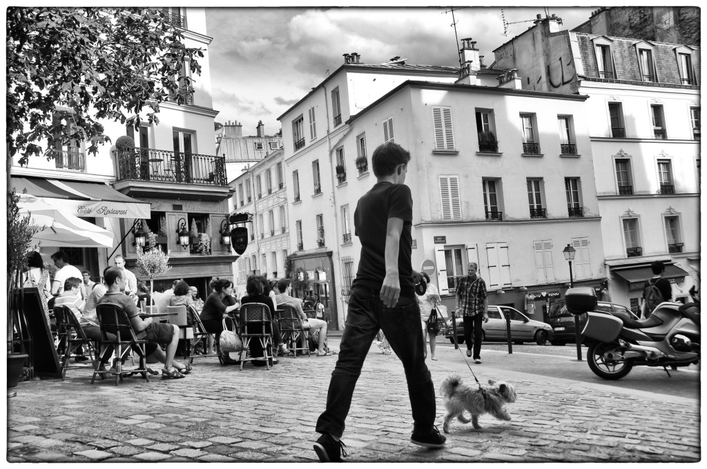 The Dog Walk Fripito the-dog-walk-fripito