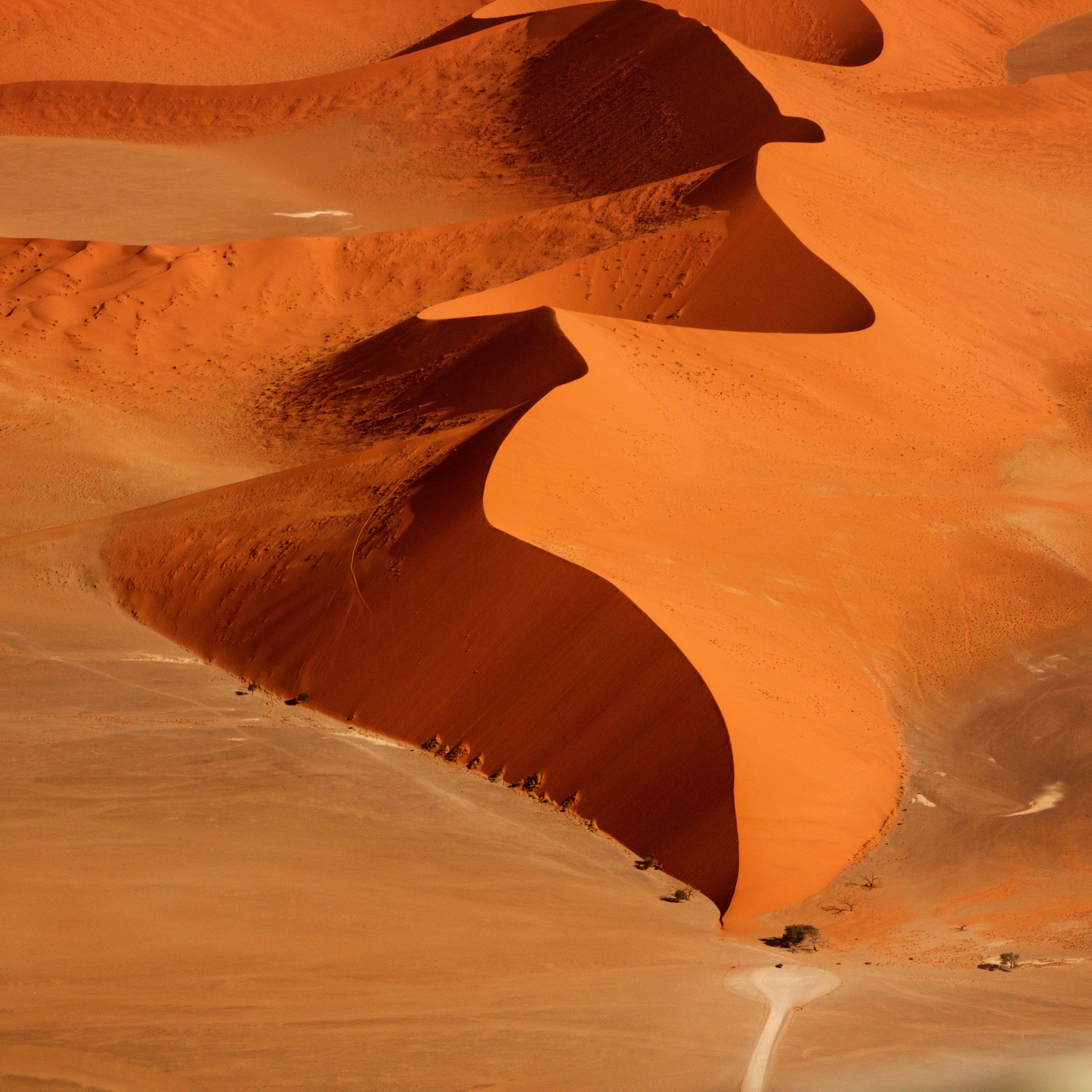 Take photos at Desert - Fripito